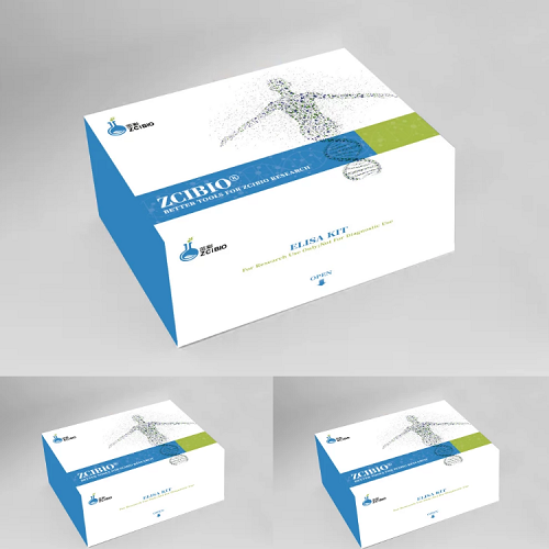 cGAMP ELISA KIT（环鸟苷一磷酸腺苷一磷酸ELISA试剂盒）-上海茁彩生物科技有限公司